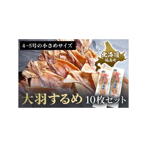 ■ 容量　大羽するめ 4〜5号 10枚■ 配送について　7日程度　タイプ：【常温】