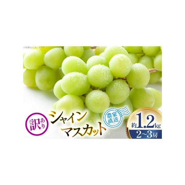 ■ 容量　【ご家庭用】　シャインマスカット 箱詰（2〜3房）1.2kg　　■賞味期限　発送日＋5日■ 配送について　2026年9月後半〜2026年11月前半において順次発送　※申込期日：2026年10月15日（決済確認）　※申込が集中した場...