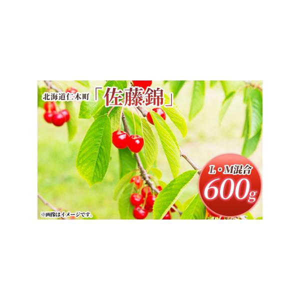 ■ 容量　さくらんぼ（品種：佐藤錦）600g（300g×2パック）　サイズ：L・M混合サイズ　産地：北海道仁木町　※お早めにお召し上がりください。　※賞味期間：発送から3日程度（冷蔵）　　※ふるさと納税返礼品地場産品基準(平成31年総務省告...