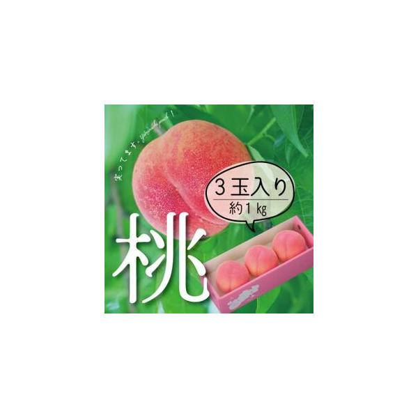 ■ 容量　※上記に記載■ 配送について　2026-06-24〜2026-09-15　タイプ：【冷蔵】