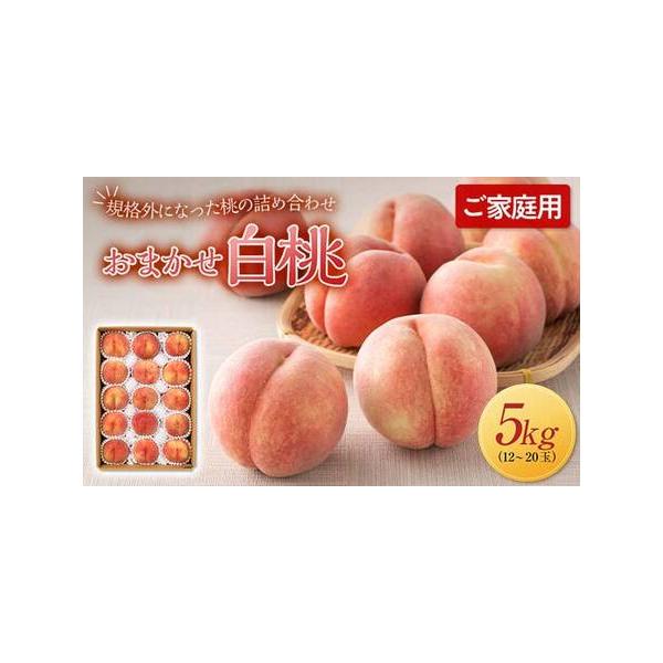 ■ 容量　山形県産 白桃 約5kg (12〜20玉)　等級：ご家庭用　品種：青空むすめ、あかつき、暁星、あぶくま、いけだ白桃、川中島白桃、さくら白桃、伊達白桃、玉うさぎ、まどか、まなみ、西王母、美月、陽夏妃、紅国見、あまとう、ゆうぞら など...