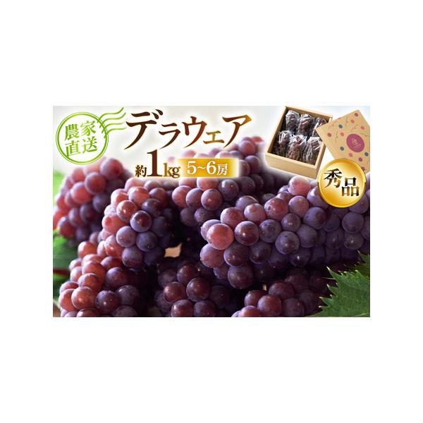 ■ 容量　高畠町産デラウェア 秀品 約1kg(5〜6房)　※房数のご指定はご希望に添えかねます。　包装：当園オリジナルの箱入り。　　　　贈答用、プレゼントにもおすすめ。　　　　1房ずつ袋入り。　　■賞味期限　発送日＋7日■ 配送について　2...
