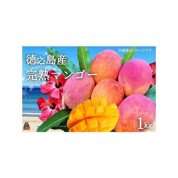 ■ 容量　徳之島産完熟マンゴー（約1kg）（2玉〜3玉）　※冷蔵配送　※画像はイメージです。■ 配送について　こちらの返礼品は2026年7月〜8月にお届けする先行予約の返礼品となります。　※旬を迎える7月下旬〜8月に配送致します。　※天候に...