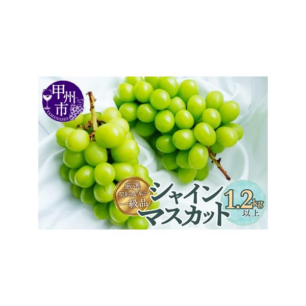 ■ 容量　シャインマスカット 1.2kg以上（2〜3房）　　【申込期日】　2026年9月中旬頃まで　【消費期限】　到着次第、お早めにお召し上がりください。　　【注意事項】　※上記注意事項を必ずご確認ください。　※画像はイメージです。　※収穫...
