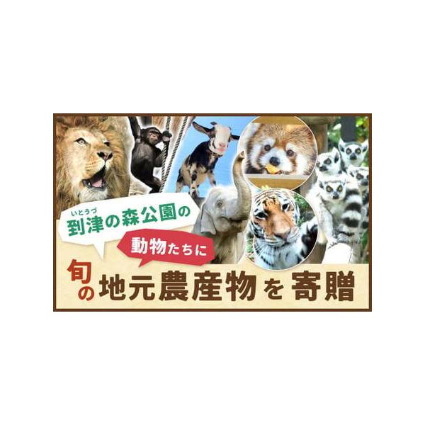 ■ 容量　・北九州市産 旬の農産物：10kg程度　※季節により内容は変更します。　※到津の森公園へお届けします。■ 配送について　2025年11月上旬〜2026年3月下旬、到津の森公園へお届け予定　タイプ：【常温】