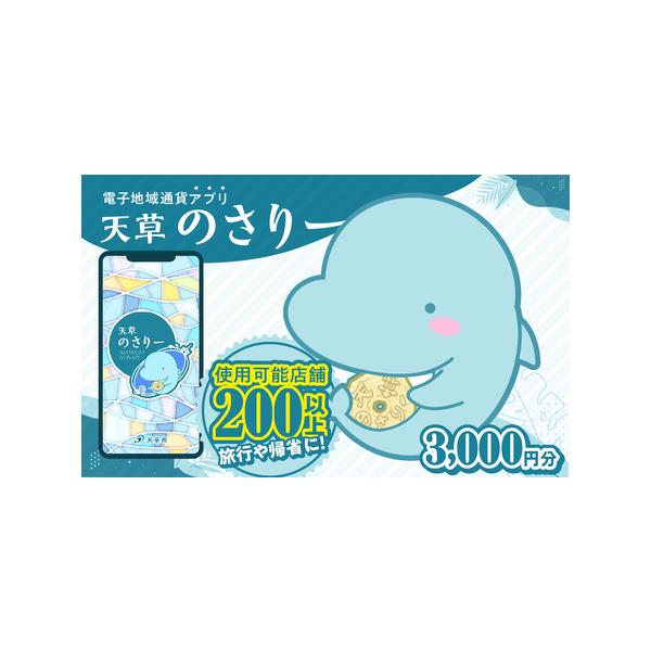 ■ 容量　【容量】　天草のさりー3,000円分　取扱事業所（熊本県天草市内、約200か所）でのお支払いに使えるクーポン　（天草のさりー取扱事業所として登録されている市内の飲食・宿泊・体験・サービス等に限定した電子クーポンです。）　○お礼品に...