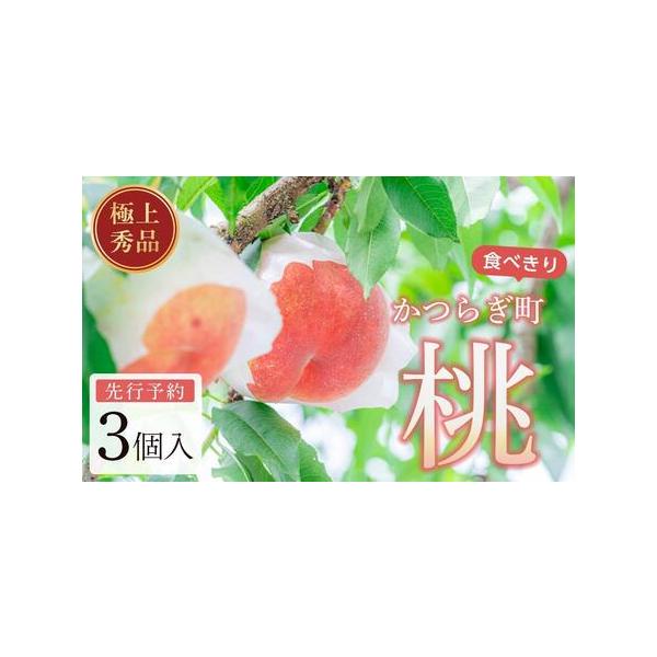■ 容量　極上秀品　桃　3個入　産地：和歌山県伊都郡かつらぎ町　【賞味期限・消費期限】　賞味期限：商品到着後3日〜5日　消費期限：商品到着後3日〜5日■ 配送について　2026年6月下旬頃より順次発送予定でございます。※天候や生育状況により...