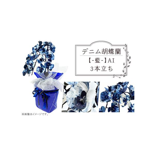 ■ 容量　【デニム胡蝶蘭】 -藍- 3本立ち　3本立ち27輪になります。　サイズ：巾450×奥行500×高さ750mm■ 配送について　ご入金確認後、随時発送　タイプ：【常温】