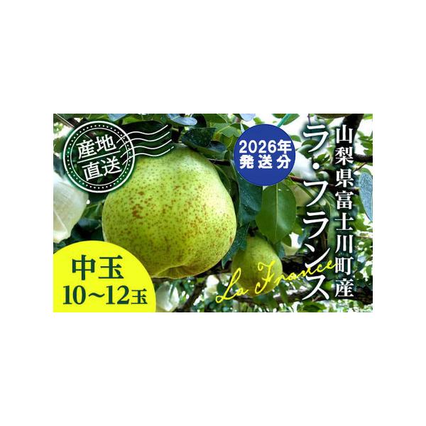 ■ 容量　ラ・フランス中玉10玉〜12玉(3.5kg以上)■ 配送について　2026年10月中旬以降発送（収穫後、順次発送）　※農作物の為、天候生育状況により、発送が前後する場合があります。　※青果品のため発送日はご指定いただけません。　タ...