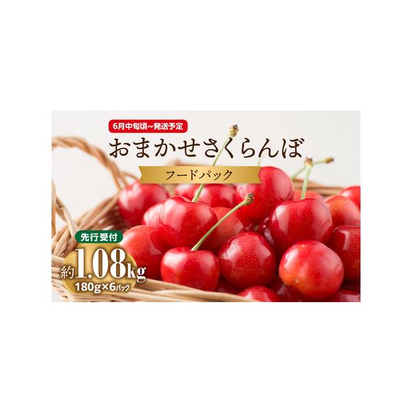 ■ 容量　おまかせさくらんぼ 1.08kg (180g×6パック) 　【佐藤錦・紅秀峰など】■ 配送について　2026年6月中旬頃から順次発送　※天候や収穫状況により変更になる場合があります。　タイプ：【冷蔵】