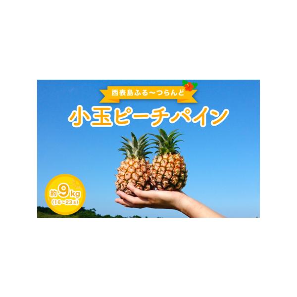 ■ 容量　小玉ピーチパイン約9kg（16〜23玉）　フルーツキャップ掛け■ 配送について　2026年5月上旬〜6月下旬（収穫でき次第順次発送）　タイプ：【常温】