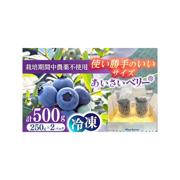 ■ 容量　ブルーベリー冷凍果実　250g×2パック　冷凍果実専用箱■ 配送について　毎年8月よりお申込み順に順次発送させていただきます。　※ブルーベリーの生育状況との兼ね合いから、上記日程より発送が前後する場合がございます。　※発送準備状況...