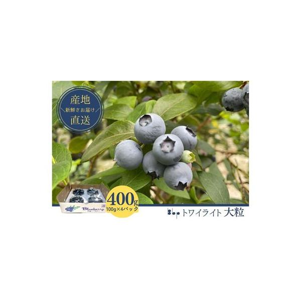 ■ 容量　フレッシュブルーベリー　品種：トワイライト大粒　100g×4パック　■ 配送について　2026年4月20日〜6月30日　　タイプ：【冷蔵】