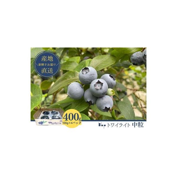 ■ 容量　フレッシュブルーベリー　品種：トワイライト(中粒）　100g×4パック　■ 配送について　2026年4月20日〜6月30日　　タイプ：【冷蔵】