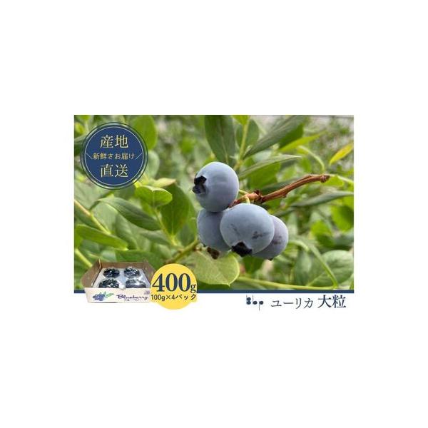 ■ 容量　フレッシュブルーベリー　品種：ユーリカ大粒　100g×4パック　■ 配送について　2026年4月15日〜5月15日　　タイプ：【冷蔵】