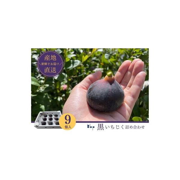 ■ 容量　黒いちじく詰め合わせ　9個　(ビオレソリエス・久留米くろみつ・久留米くろあま　2種類以上)　■ 配送について　2026年8月10日〜10月10日　　タイプ：【冷蔵】