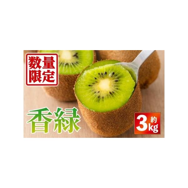 ■ 容量　約3kg■ 配送について　2025年11月下旬以降順次発送　※生育状況により出荷が前後する場合がございます。　※発送までに時間がかかる場合がございます。　タイプ：【常温】