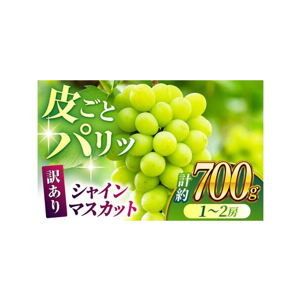 ■ 容量　・約700g（1〜2房）　※サイズの指定はできかねます。■ 配送について　ご入金確認後、【2026年】7月中旬〜10月初旬に発送いたします。　＊本返礼品は先行受付品のため、発送期間を必ずご確認の上お申込みください。　＊返礼品の状況...