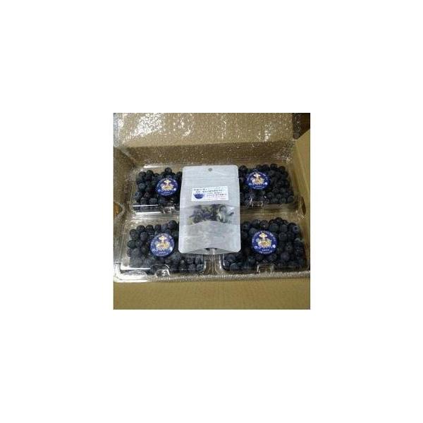 ■ 容量　・生ブルーベリー（直径14mm以上） 1kg（250g平パック×4パック）　シリーズ名：フレッシュ　ブルーベリー　ブランド名：大粒ブルーベリー　原産国／製造国：日本　総個数：4　総重量：1kg　産地（都道府県）：鳥取県　食品の状態...