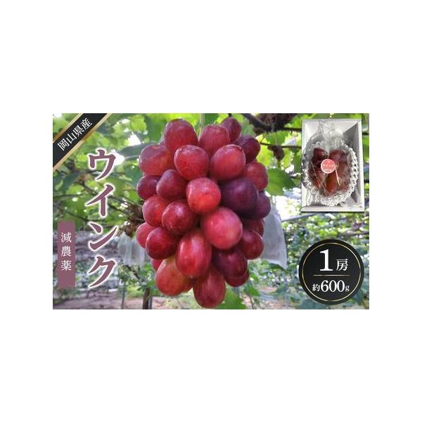 ■ 容量　ばんの農園 減農薬／ハウス栽培の ウインク 1房 約500g　岡山県内産（5条8号ハ）　※お届け日の指定は申し訳ないですが、お受けできません。　※時間帯の指定はお受けいたします。　※減農薬農法で栽培の為、ごく稀に虫等が付着している...