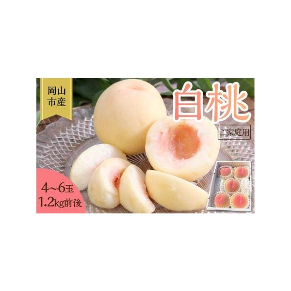 ■ 容量　ご家庭用 岡山 白桃 4玉〜６玉 1.2kg 前後　岡山市内産（5条1号）　【賞味期限】　出荷日より冷蔵4日　【アレルギー】　もも　※ 表示内容に関しては各事業者の指定に基づき掲載しており、一切の内容を保証するものではございません...