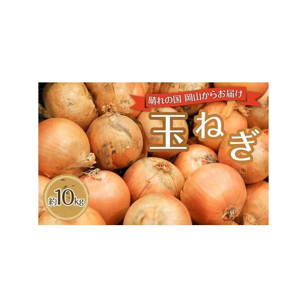 ■ 容量　玉ねぎ 約10kg　岡山市内産（5条1号）　【賞味期限】　出荷日より常温20日■ 配送について　2026年7月上旬〜2026年8月下旬　【受付期間】　2025年11月7日〜2026年8月9日　タイプ：【常温】