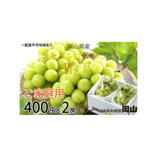 ■ 容量　ご家庭用 シャインマスカット 晴王 約400g×2房　岡山県内産（5条8号ハ）　※お届け日、時間の指定は申し訳ないですが、お受けできません。　※ご家庭用としての内容です。少し形が良くなかったり、色むらがあるものが含まれますのでご了...