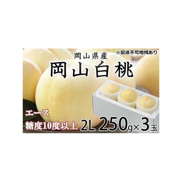 ■ 容量　岡山白桃 エース 3玉×約250g（2Lサイズ、早生種・中生種）　岡山県内産（5条8号ハ）　※お届け日、時間の指定は申し訳ないですが、お受けできません。　※品種の指定、および果実の大きさや玉数等をご指定いただくことはできません。　...