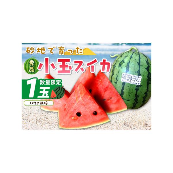 ■ 容量　1玉（2kg以上）　　【原材料】　すいか　　【賞味期限】　食べ頃で収穫しているので、到着後なるべく早くお召し上がりください。　（2〜3日程度が目安）　　【保存方法】　到着後、直射日光・高温多湿を避けて保管をお願いいたします。　切っ...