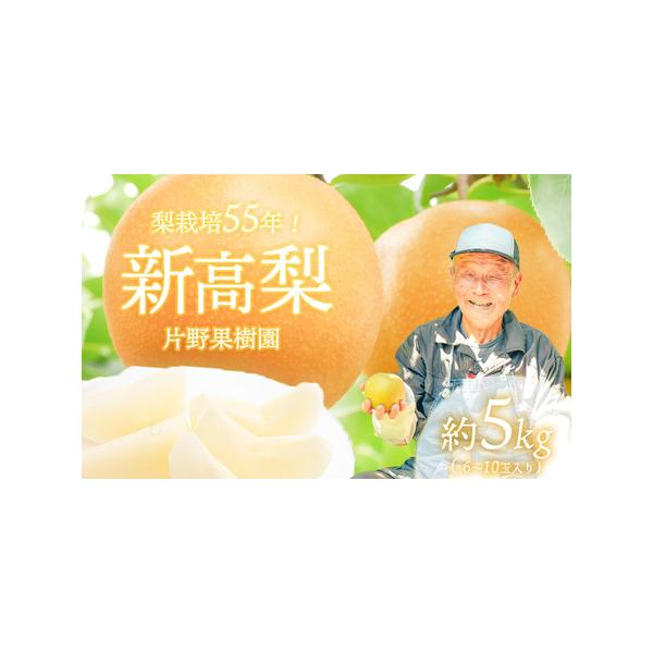 ■ 容量　新高梨5kg（6〜10玉入り）■ 配送について　2026年09月下旬発送、受付順に順次発送　※天候の影響で収穫時期が前後する場合がございます。予めご了承ください。　※オンライン決済限定となります。　タイプ：【常温】