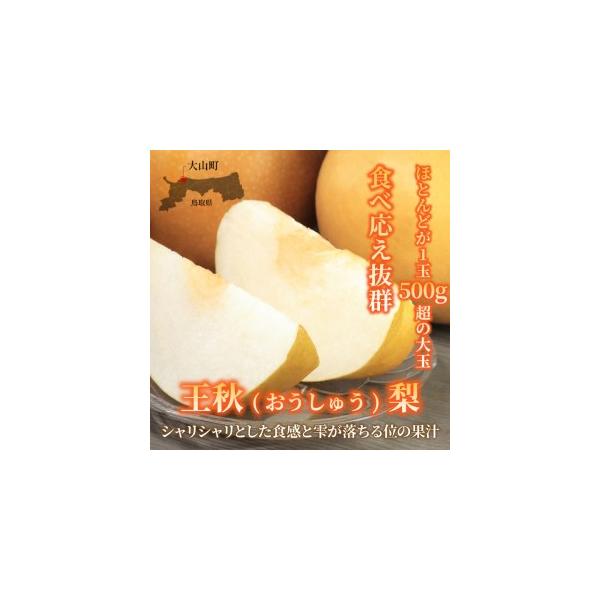 ■ 容量　青秀以上（赤秀または青秀）５ｋｇを１箱　※等級・玉サイズ・玉数は指定できません■ 配送について　随時発送予定（収穫状況によって若干前後する場合もあります。）　タイプ：【常温】