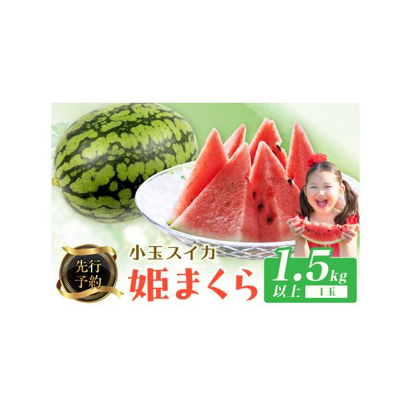 ■ 容量　1玉（1.5kg以上）　　【賞味期限】　お早めにお召し上がりください。■ 配送について　【配送可能期間】　2026年7月上旬〜　※天候や生育状況により変動する場合がごさいます。　　【配送不可地域】　北海道、沖縄、一部離島　タイプ：...