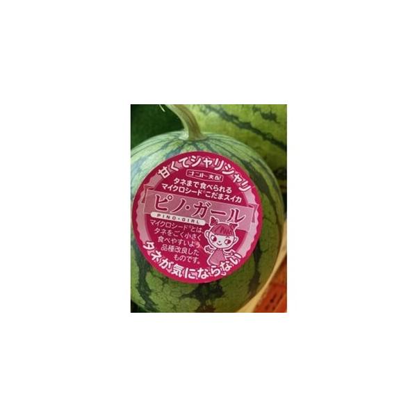 ■ 容量　1玉（1.5kg以上）　　【賞味期限】　お早めにお召し上がりください。■ 配送について　【配送可能期間】　2026年7月上旬〜　※天候や生育状況により変動する場合がごさいます。　　【配送不可地域】　北海道、沖縄、一部離島　タイプ：...