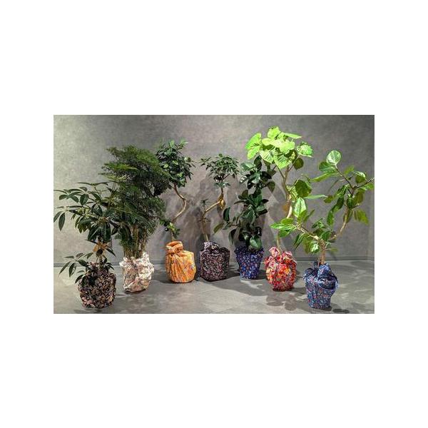 ■ 容量　植物の種類：フィカス・ウンベラータ、フランスゴム、ジャンボリーフなどから1種類をお届け　植物の設置方法：鉢植え　植木鉢のサイズ（号数）：8　個数：1　本体高さ：140cm■ 配送について　注文ご確認後、1ヵ月以内に順次発送（GW、...