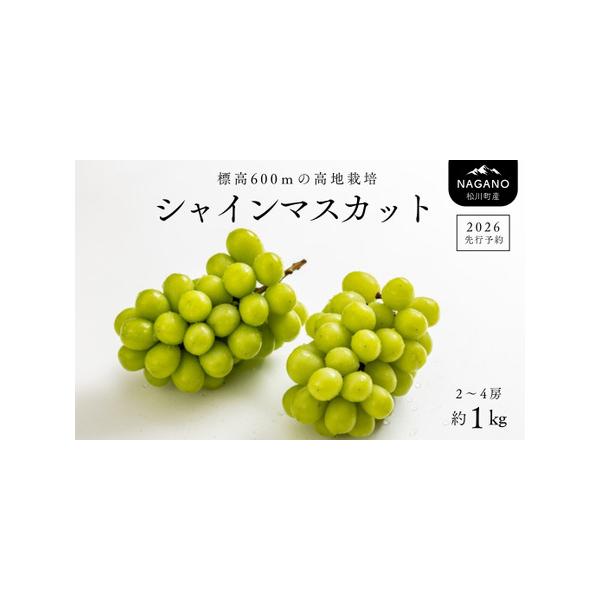 ■ 容量　【先行予約】2026年発送　約1kg（2〜4房）　※大きさで房数は異なります。房数の指定はお受けできません。■ 配送について　配送業者：ヤマト運輸　　※その年の気候により配送時期に変動がございます。　※発送期日をご確認の上、期間中...