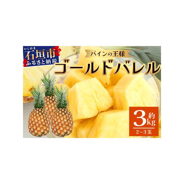 ■ 容量　ゴールドバレルパイン：2〜3玉(約3kg)　■賞味期限■　到着後3日　※生鮮品ですのでお早めにお召し上がりください。■ 配送について　2026年6月上旬より順次発送予定　　■申込期日■　2026年6月下旬頃までお申し込みお受けして...