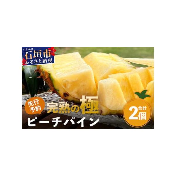 ■ 容量　ピーチパイン2個 (合計約1.7kg)　(自然の物なので大きさや重さは前後する可能性があります)　　■賞味期限■　お手元に到着後、冷蔵保存で約１週間程度　※パイナップルは追熟しないため、到着後お早めにお召し上がりください。■ 配送...