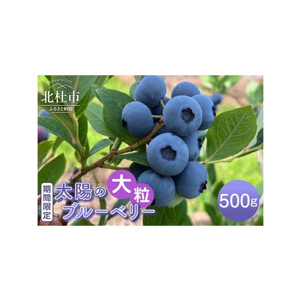 ■ 容量　【大粒】ブルーベリー（生果）500g　　【消費期限】　青果物のため、到着後はお早めにお召し上がりください。　　【申込可能な期間】　〜2026年7月下旬頃まで　※青果物のため天候や収穫状況により申込可能な時期が前後する可能性がござい...