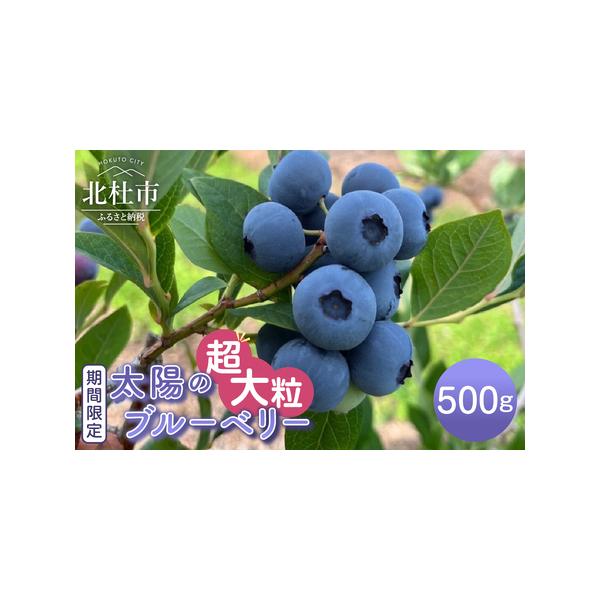 ■ 容量　【超大粒】ブルーベリー（生果）500g　　【消費期限】　青果物のため、到着後はお早めにお召し上がりください。　　【申込可能な期間】　〜2026年7月下旬頃まで　※青果物のため天候や収穫状況により申込可能な時期が前後する可能性がござ...