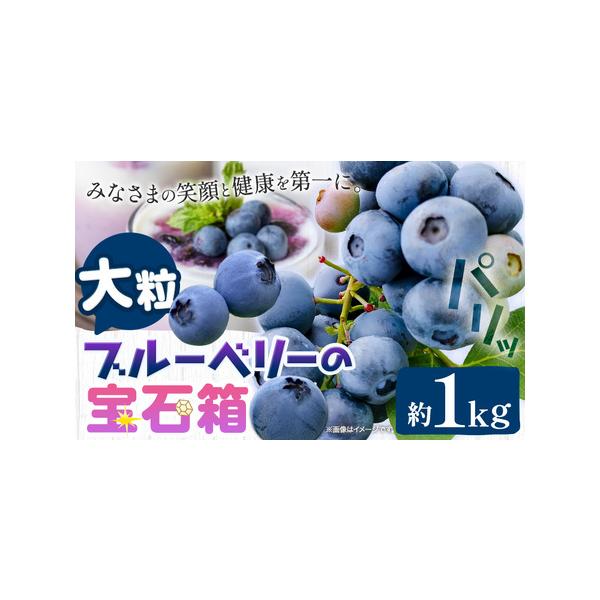 ■ 容量　計1kg(250g×4パック)■ 配送について　2026年6月上旬-8下旬頃出荷予定　タイプ：【冷蔵】