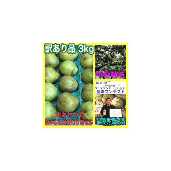 ■ 容量　平棚栽培ラ・フランス　３ｋｇ　ご家庭用　１２玉〜７玉　Ｌ〜６Ｌサイズ　※多少の傷、くぼみ、色ムラ、形の不揃いなものがありますが、食味については贈答用と変わりはありません。　※玉数・サイズの指定はできません。　※天候により出荷時期や...