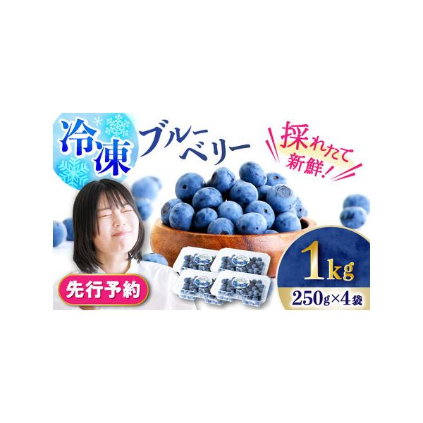■ 容量　冷凍ブルーベリー：1kg（250g×4袋）■ 配送について　2026年7月上旬頃より順次発送予定　※天候等により、収穫量・収穫時期に影響があった場合、発送時期が前後する場合がございます　タイプ：【冷凍】
