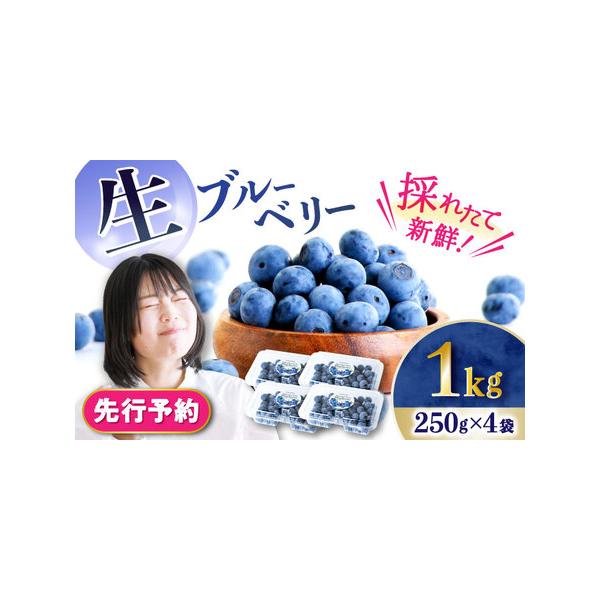■ 容量　生ブルーベリー：1kg（250g×4袋）■ 配送について　2026年7月上旬頃より順次発送予定　※天候等により、収穫量・収穫時期に影響があった場合、発送時期が前後する場合がございます　タイプ：【冷蔵】
