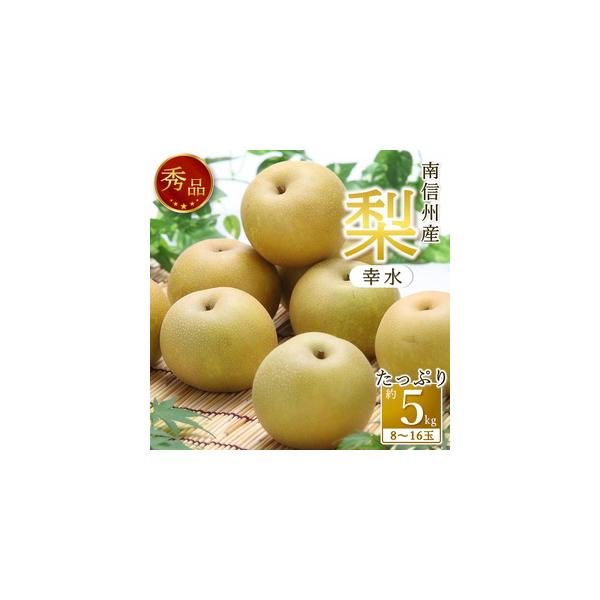 ■ 容量　内容：約5kg（8玉〜16玉）　原産地：南信州産(長野県高森町を含む)　賞味期限：出荷日から6日　提供元：みなみ信州農業協同組合■ 配送について　配送予定：2026年8月20日〜2026年9月2日　配送日の指定はできません。　【配...