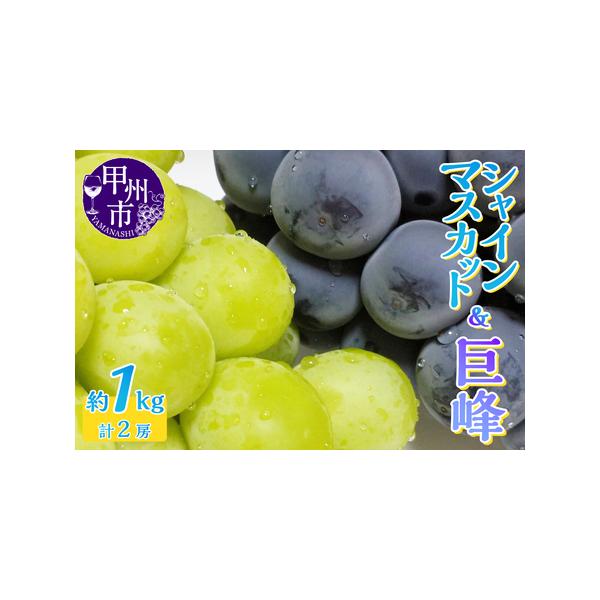 ■ 容量　シャインマスカット1房・巨峰1房（計約1.0kg）　　【申込期日】　2026年9月中旬頃まで　【消費期限】　到着次第、お早めにお召し上がりください。　　【注意事項】　※上記注意事項を必ずご確認ください。　※画像はイメージです。　※...