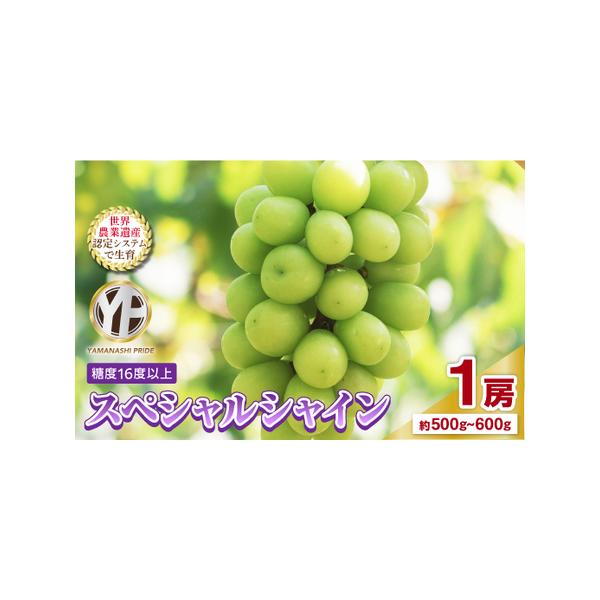 ■ 容量　※上記に記載■ 配送について　2026-08-20〜2026-10-20　タイプ：【冷蔵】