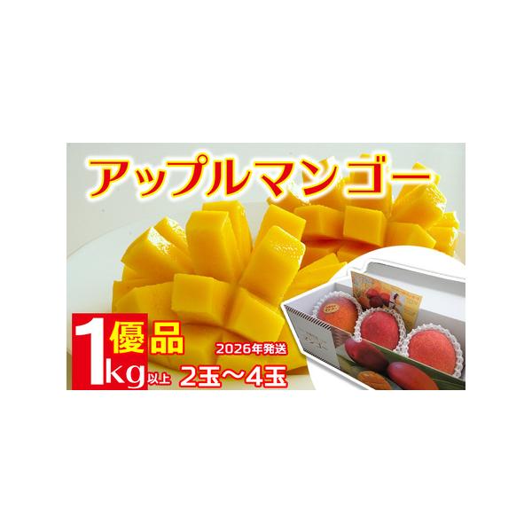 ■ 容量　名護市産アップルマンゴー（アーウィン）　2玉〜4玉（優品）1kg以上　　※化粧箱入り■ 配送について　2026年7月中旬〜8月下旬発送　タイプ：【冷蔵】