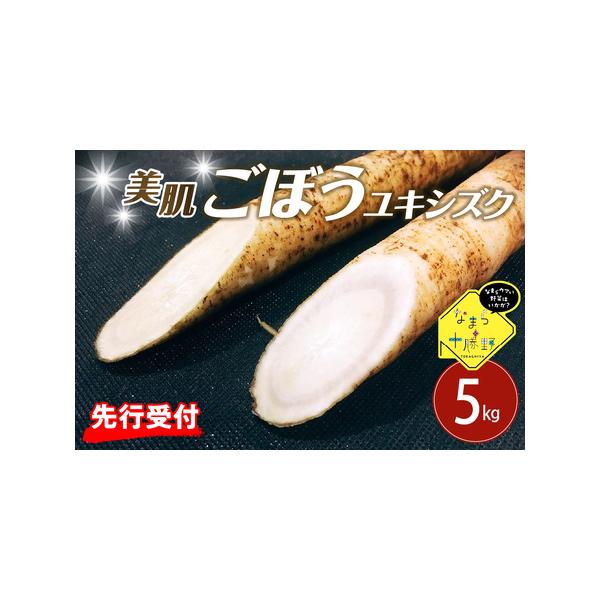 ■ 容量　春掘り美肌ごぼう【ユキシズク】L5kg■ 配送について　2026年5月中旬から順次配送　※収穫状況により、発送予定から前後する場合がございます。　タイプ：【常温】