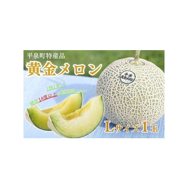 ■ 容量　1玉　Lサイズ(約1.5kg)　　【消費期限】収穫から１週間以内　(箱に食べごろを明記しております。)■ 配送について　8月下旬頃から順次発送（天候により発送時期が異なる場合がございます）　　※誠に申し訳ございませんが、離島へのお...