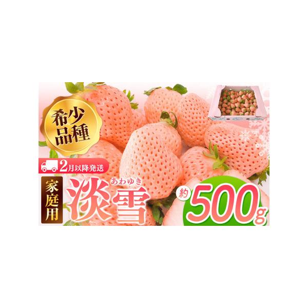 ■ 容量　（ご家庭用）淡雪 500g■ 配送について　2月頃〜4月の期間で順次発送します。　＊いちごの生育状況に応じ、お申込みいただきました順に発送いたします。発送時期のご指定は承れませんのでご了承ください。　タイプ：【冷蔵】